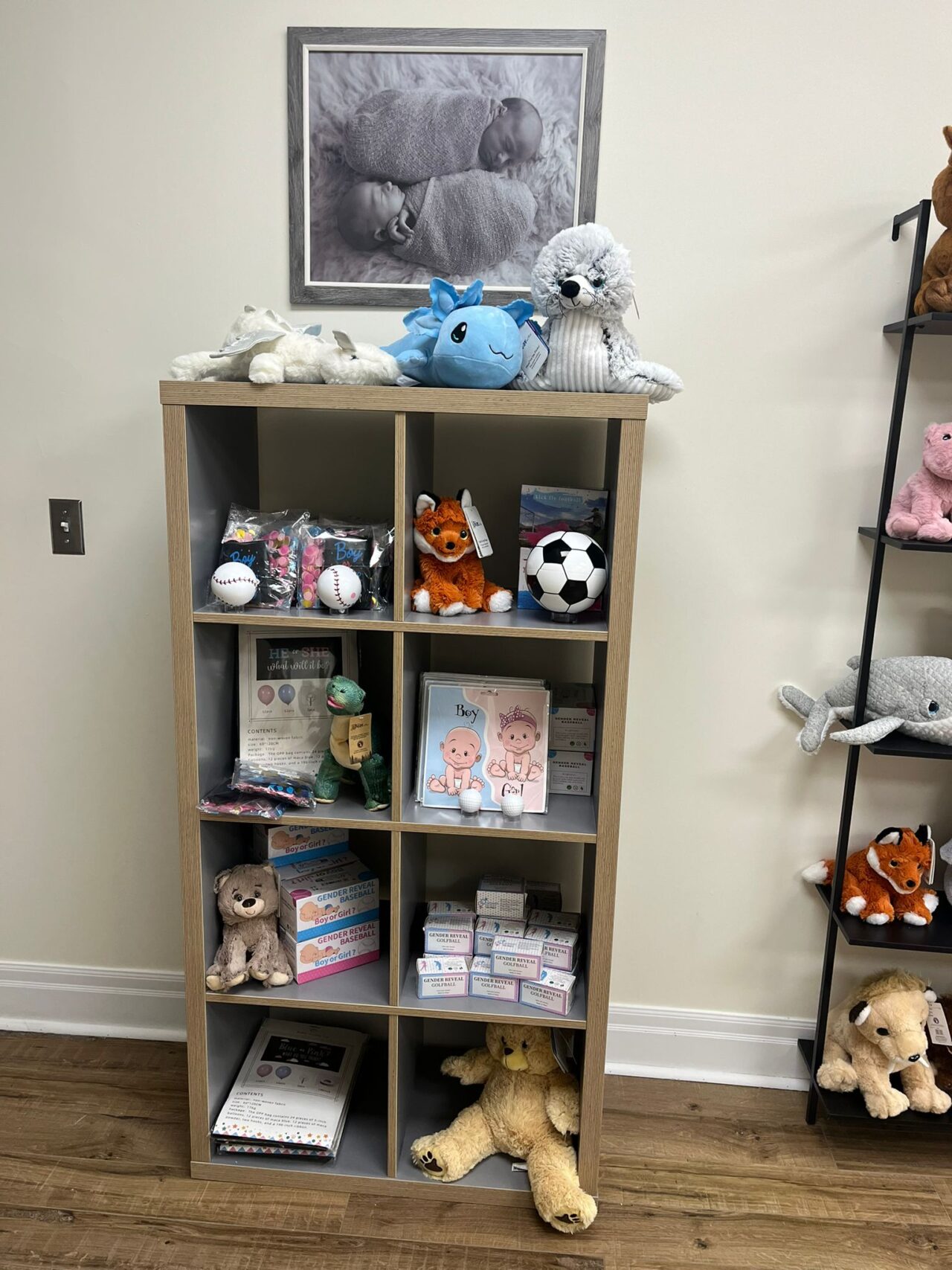 Pregnancy Ultrasounds in Toronto | Hey Baby 3D 4D East York
