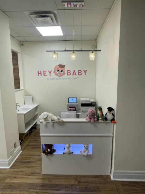 Pregnancy Ultrasounds in Toronto | Hey Baby 3D 4D East York